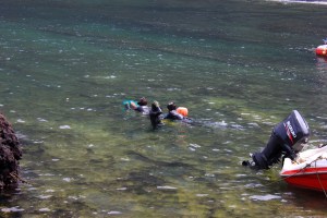 The Truth about Travelling around Jeju Island – Alison Karlene Adventures